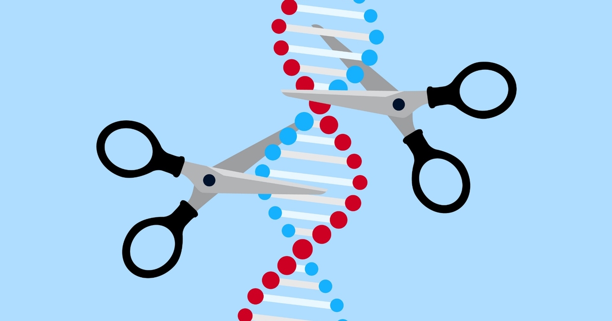The Latest Advances in Gene Editing Technology - Sathsara Distributors ...